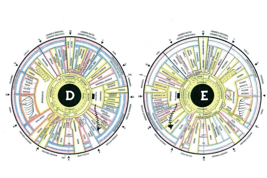 Iridología 🌱 Qué es * Cómo Funciona * Especialistas
